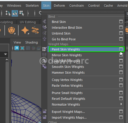 [Maya]Rigging 02 - Skinning